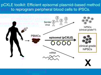 pCXLE toolkit: Efficient episomal plasmid-based method to reprogram peripheral blood cells to iPSCs